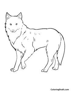 Arctic Fox Coloring Pages - ColoringDraft.com