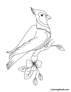 Blue Jay Coloring Pages - ColoringDraft.com