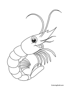 Shrimp Coloring Pages - ColoringDraft.com