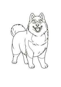 Akita Coloring Pages - ColoringDraft.com