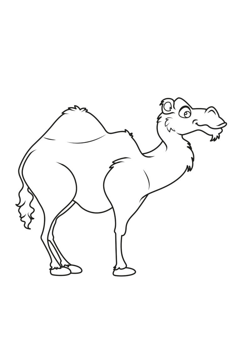Dromedary Camel Coloring Pages - ColoringDraft.com