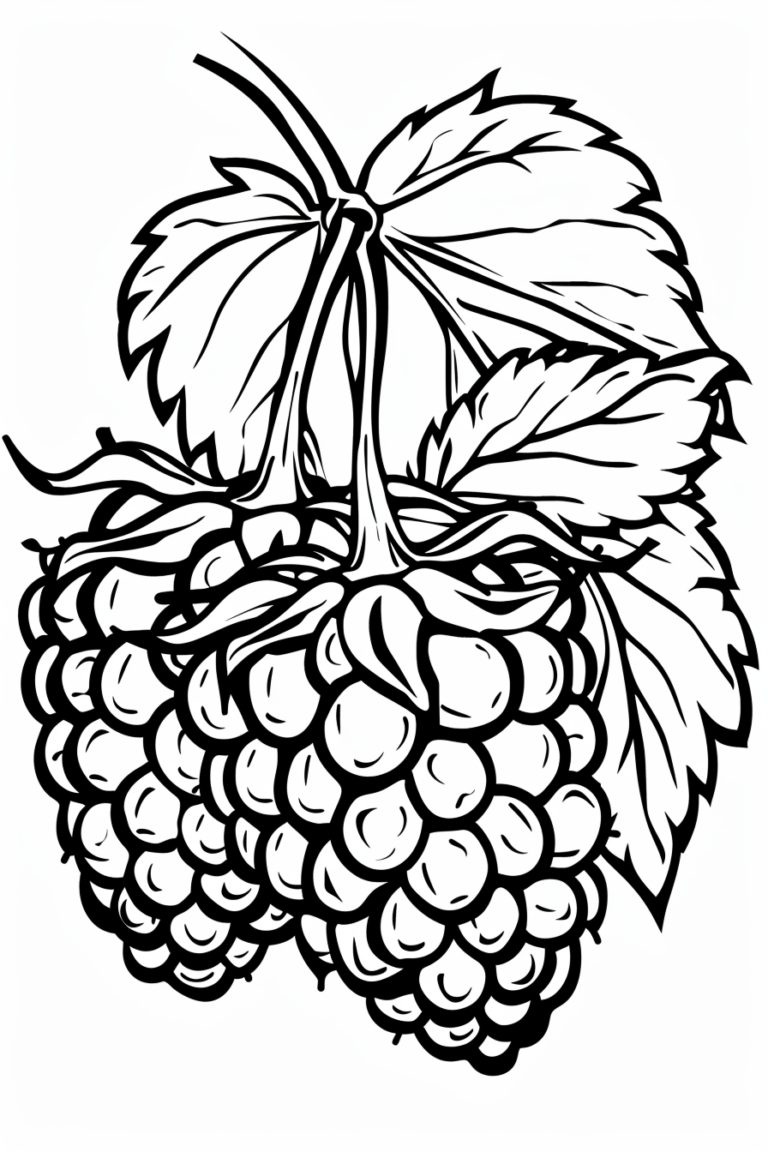 Raspberry Coloring Pages - ColoringDraft.com